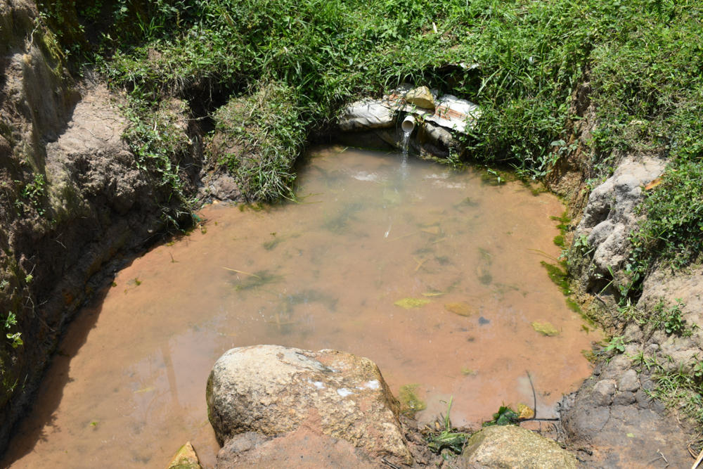 The Water Project: Kenya - Shamoni Community, Shiundu Spring