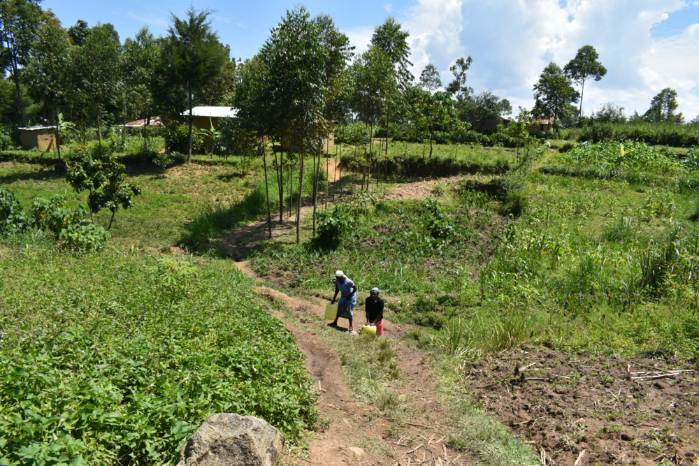 The Water Project: Kenya - Shianda Community, Akhonya Spring