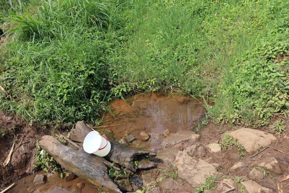 The Water Project: Kenya - Lumunyasi Community, Tubula Spring