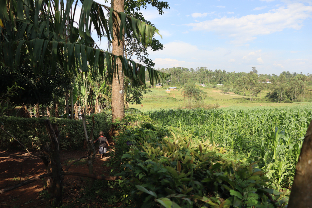 The Water Project: Kenya - Shisasari Itumbu Community, Mathias Juma Spring