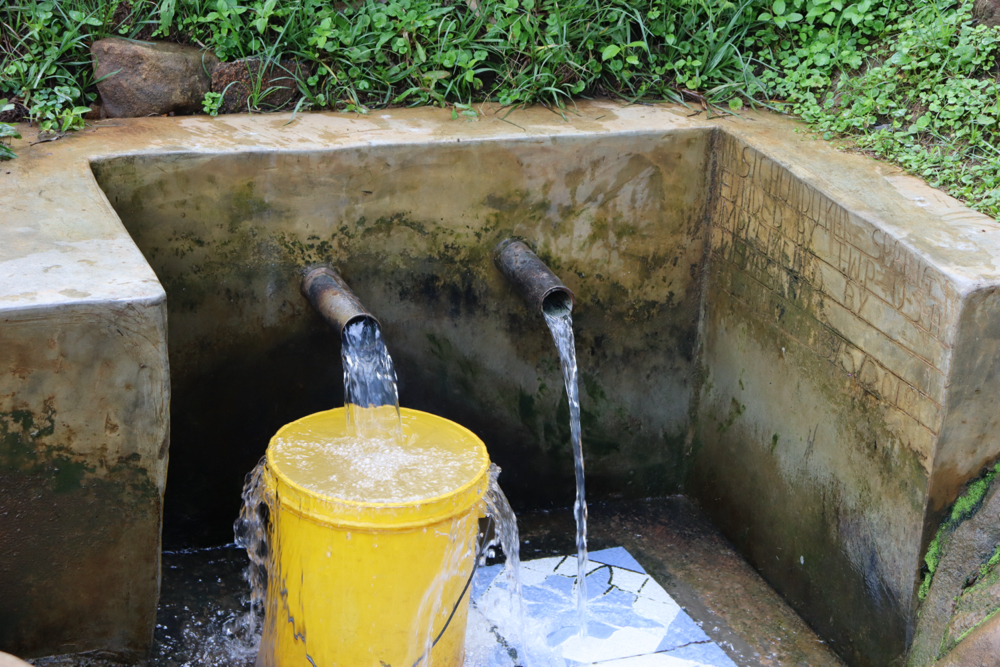 The Water Project: Kenya - Buhayi Community, Nasichundukha Spring