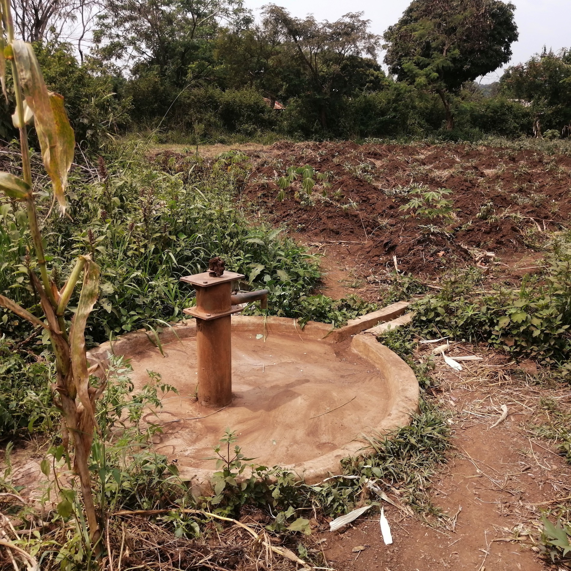 The Water Project: Uganda - Bulima-Kahembe Community