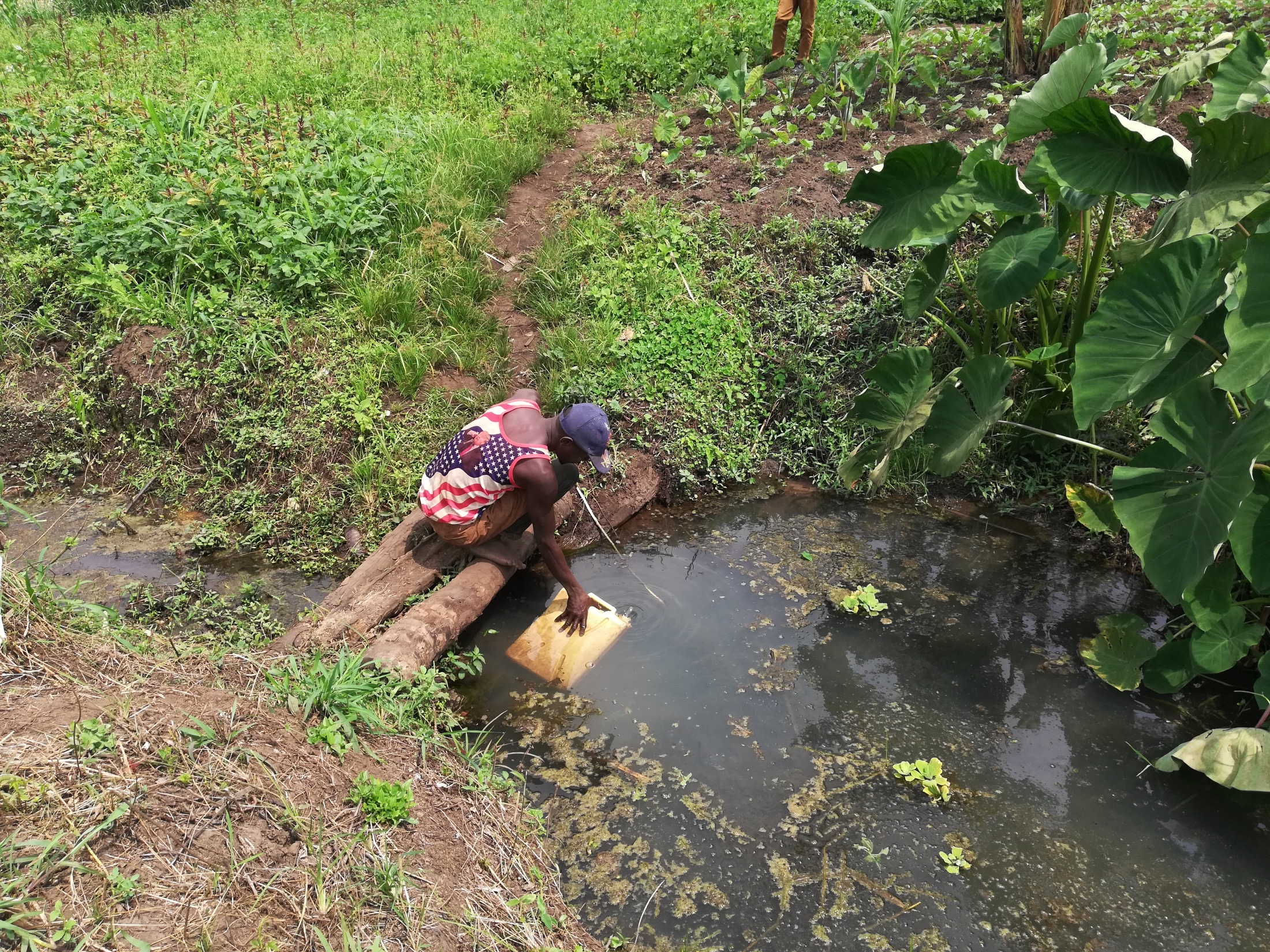 The Water Project: Uganda - Bulima-Kahembe Community