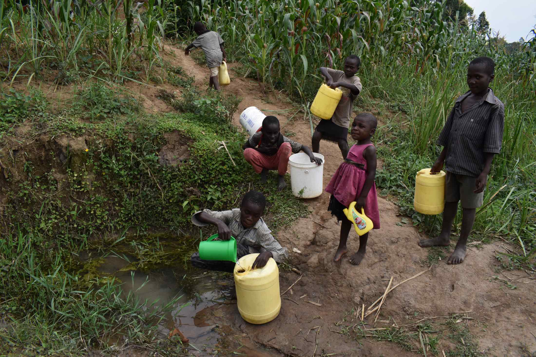 The Water Project: Kenya - Makunga Community 3