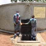 How Rain Catchment Systems Works