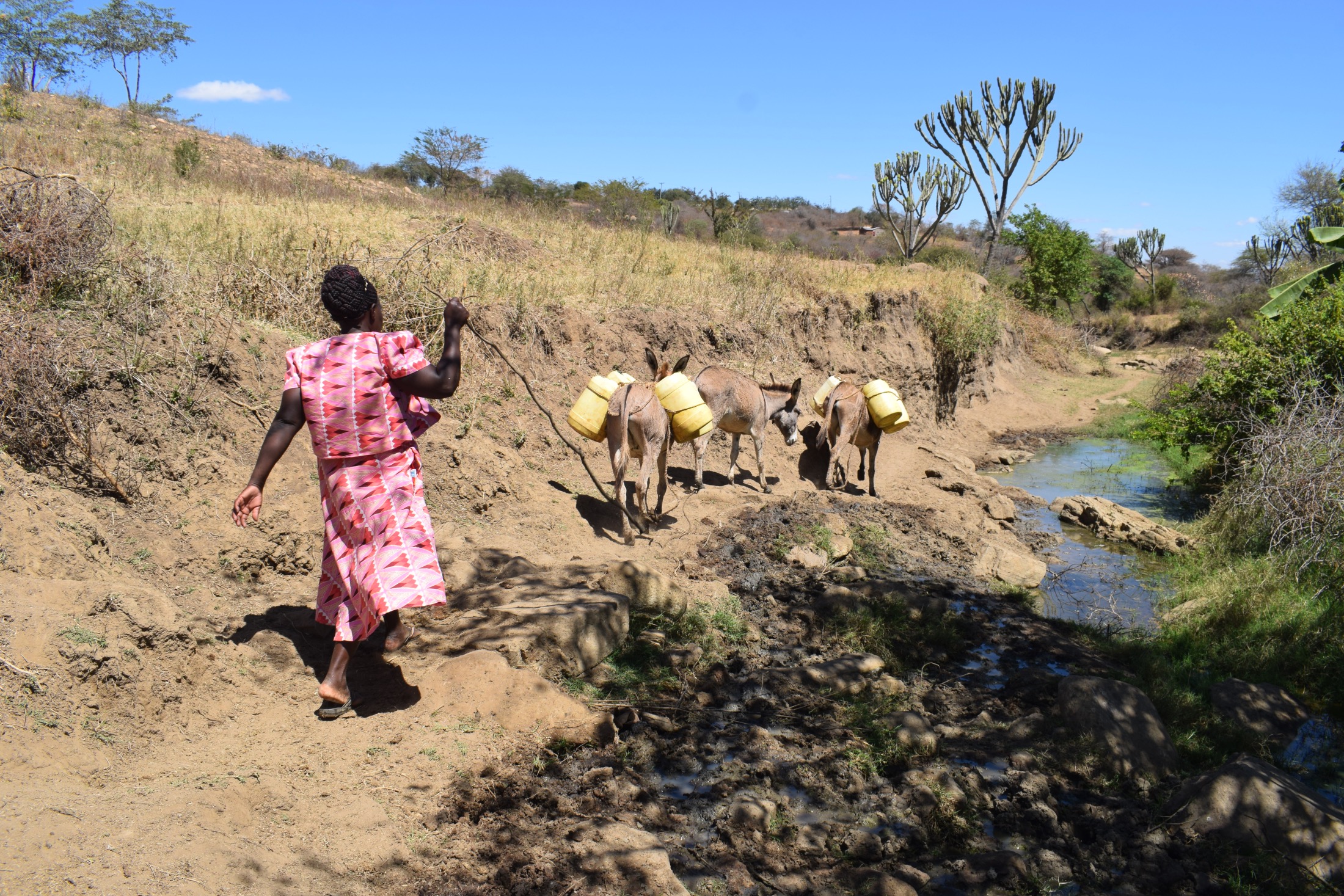 The Water Project: Kenya - Kalawa Community Sand Dam