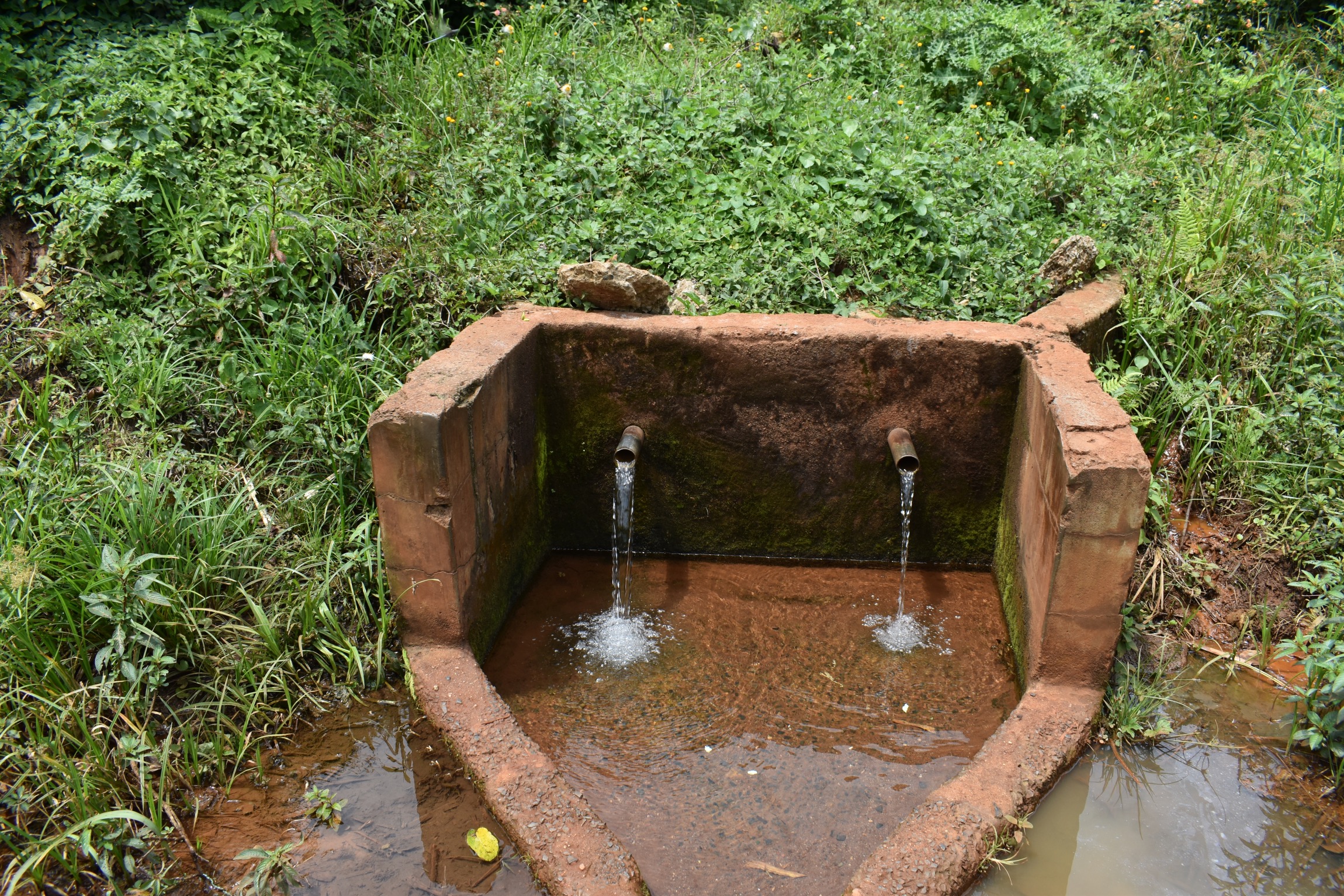 The Water Project: Kenya - Mukavakava Community