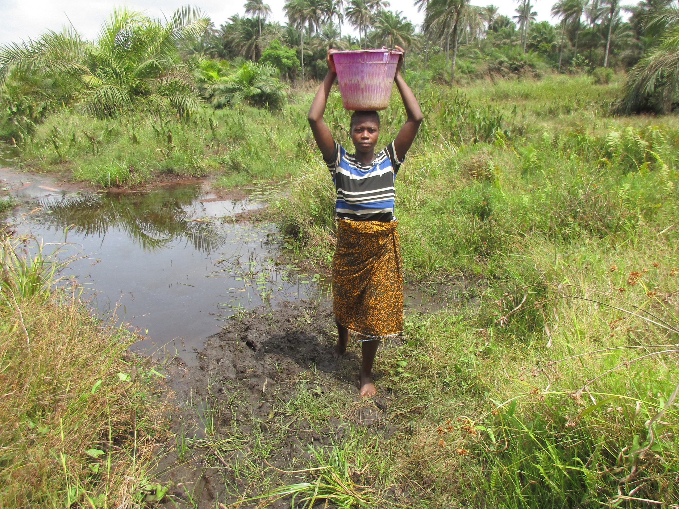 The Water Project: Sierra Leone - Bankinya Community 2