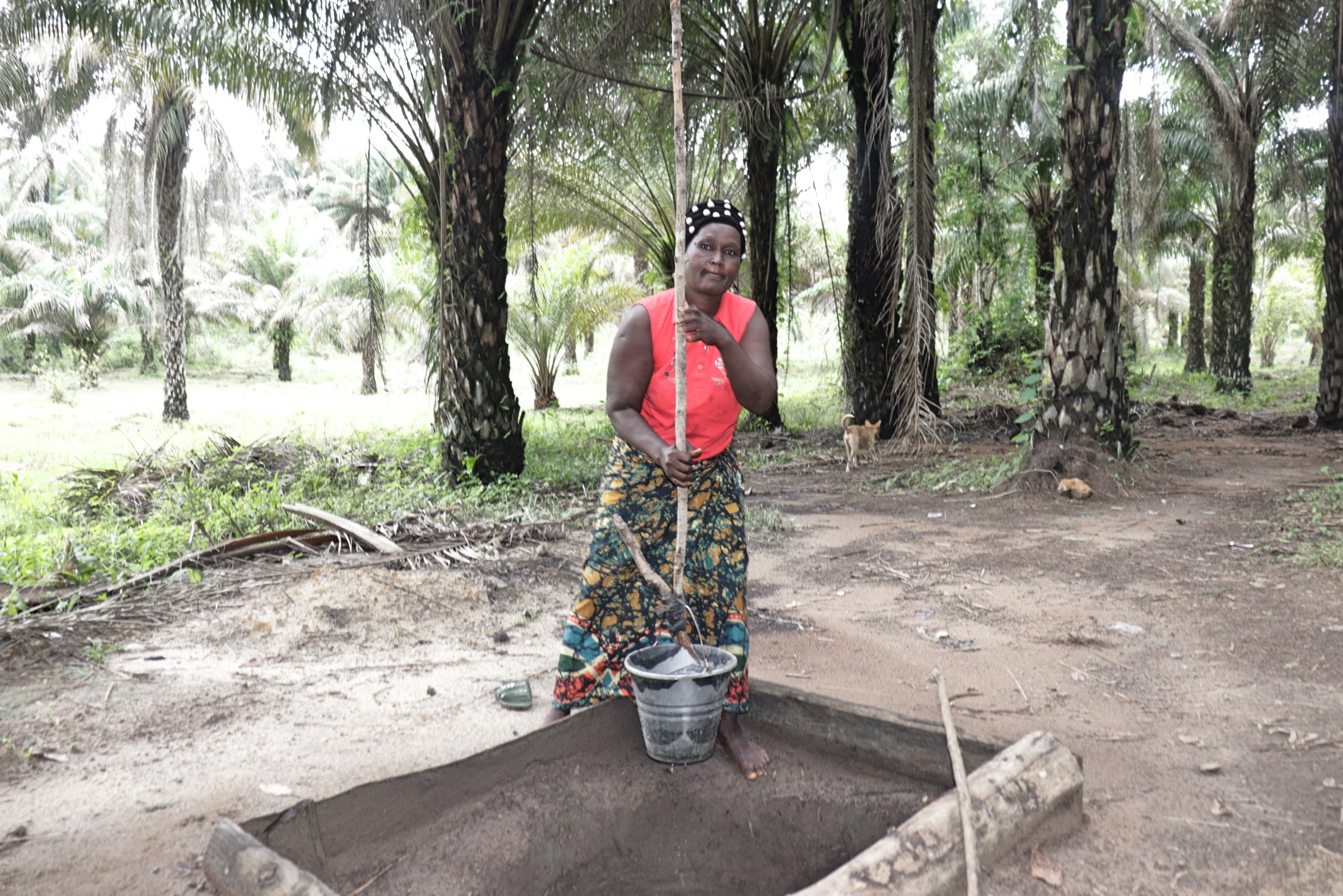 The Water Project: Sierra Leone - Laminaya Community 2