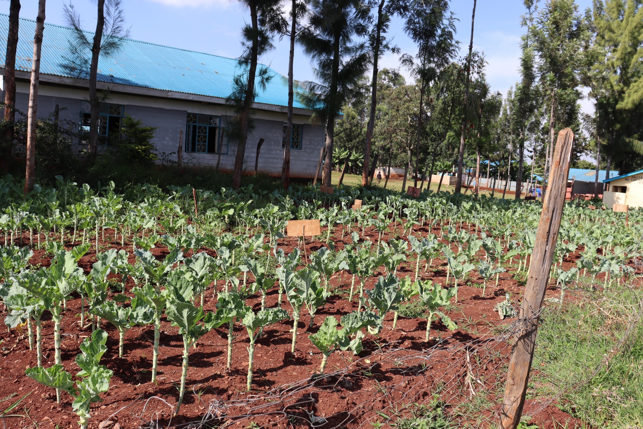 The Water Project: Kenya - Simbi Secondary School