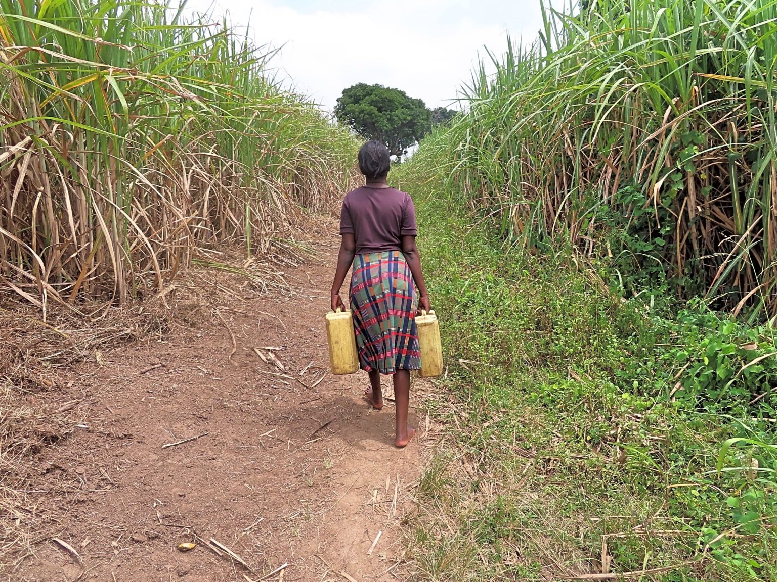 The Ripple Effects of Carrying Water Long Distances - The Water Project