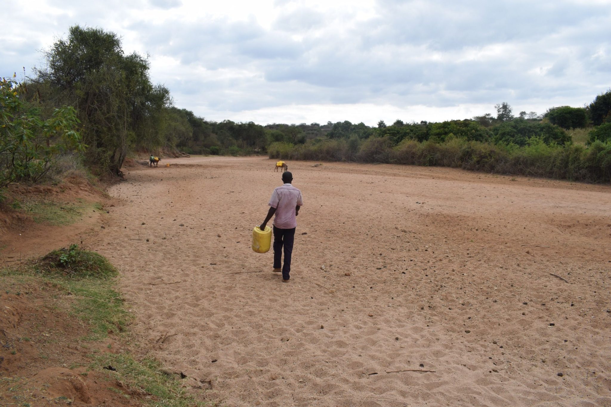 Enabling Zero Emissions on the Ground this Zero Emissions Day - The ...
