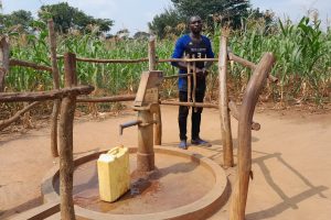 Anatoli Plans to Raise Cattle!