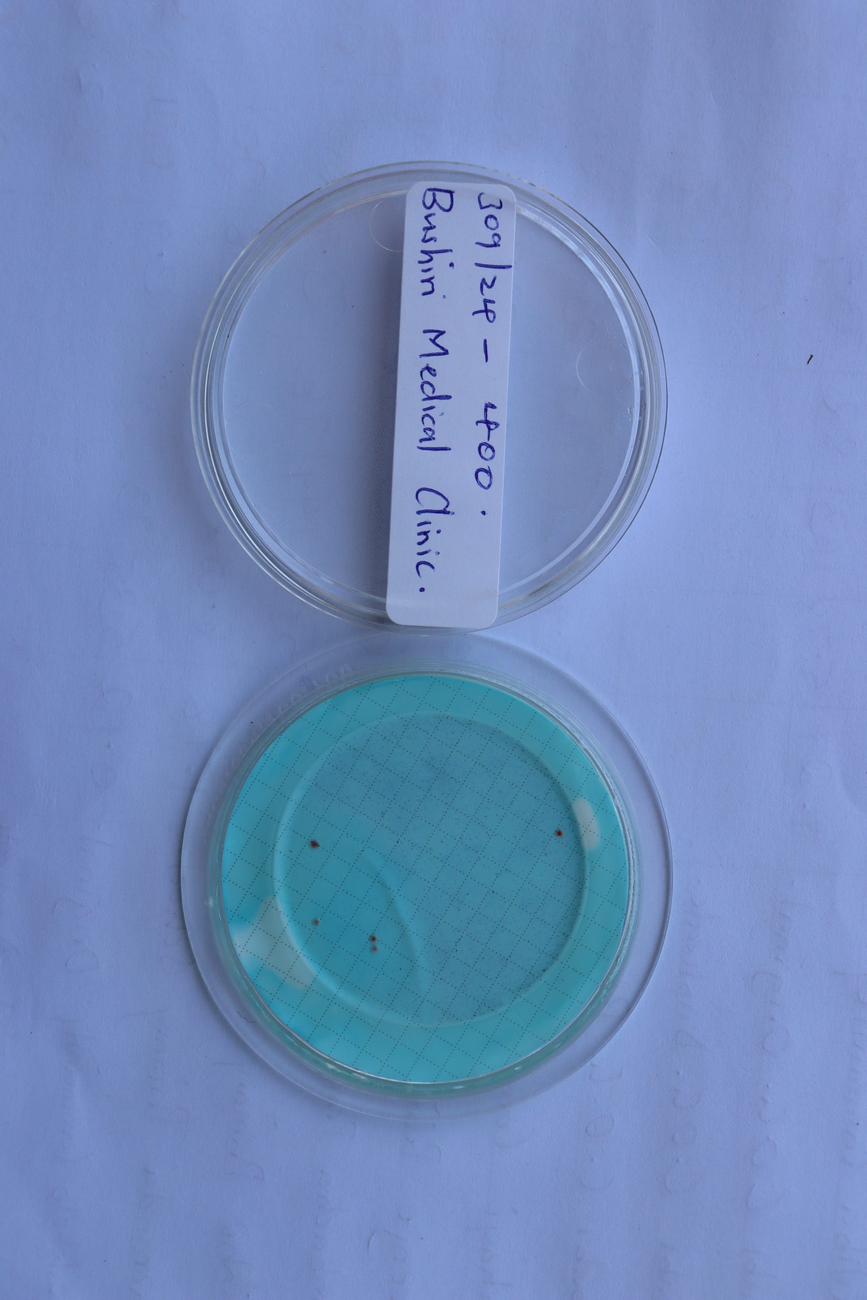 World Water Monitoring Day: How and Why We Monitor Our Water Points ...