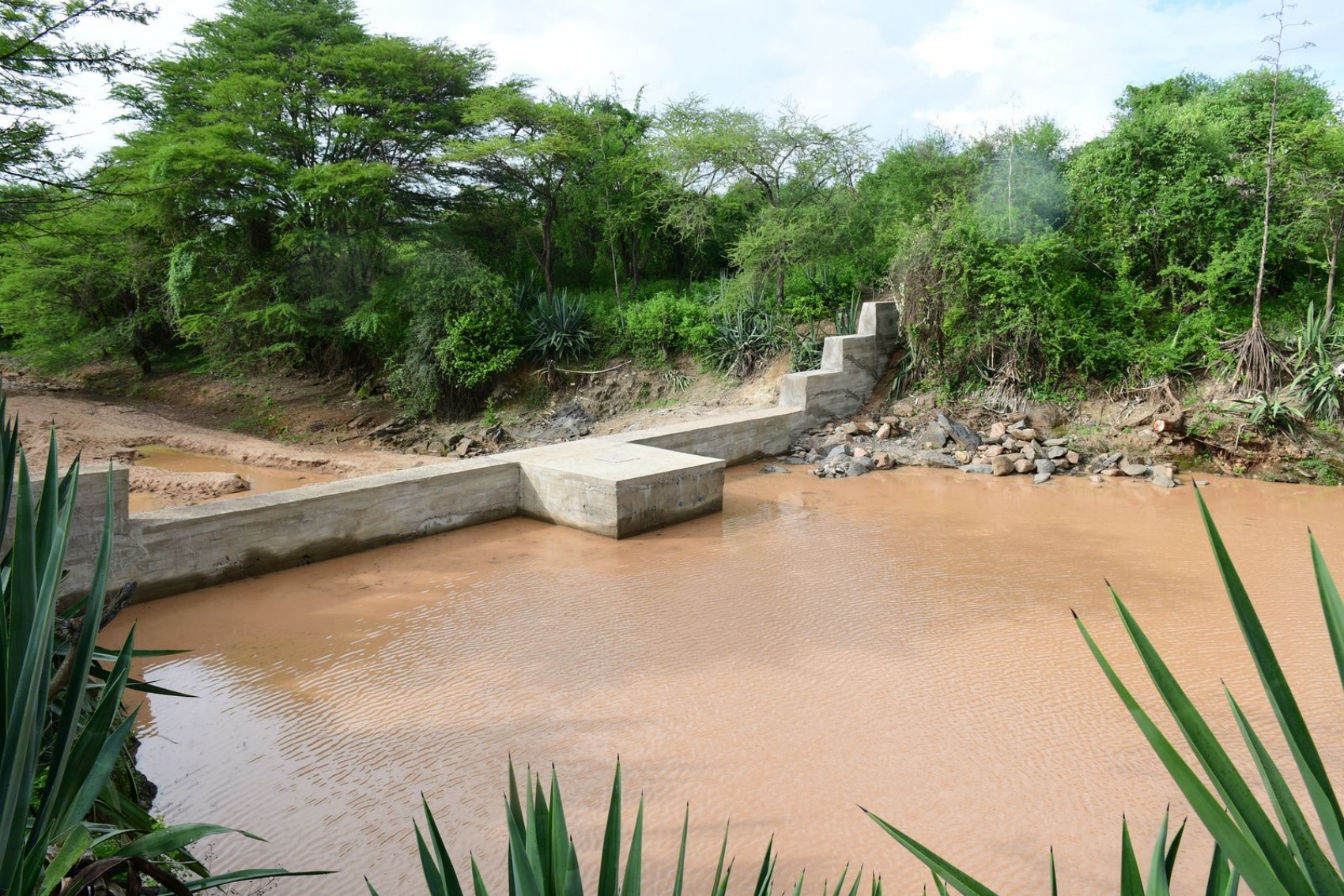 The Journey of a Water Project - The Water Project
