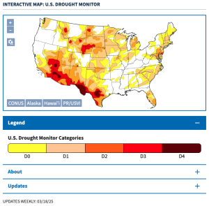 The Global Water Crisis, Explained Through Four Stories - The Water Project