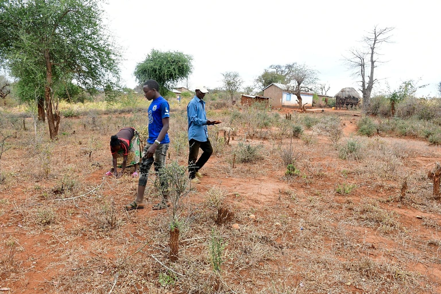 Understanding Drought in Southeast Kenya: Causes and Effects - The ...