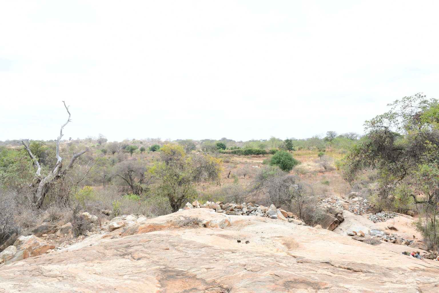 Understanding Drought in Southeast Kenya: Causes and Effects - The ...